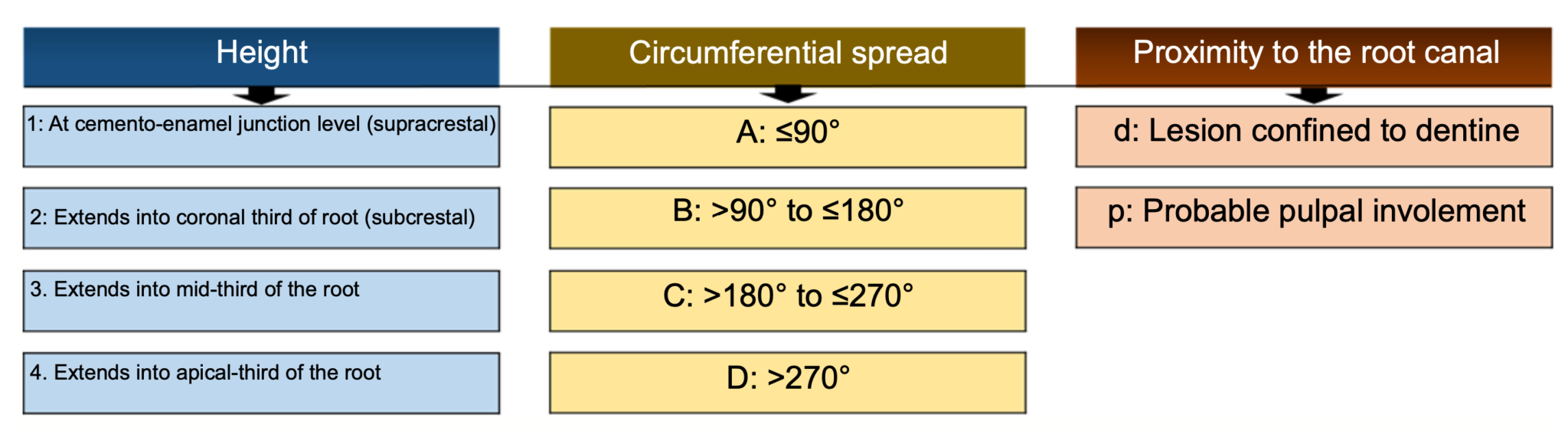 #18 侵襲性歯頸部外部吸収（Invasive Cervical Root Resorption）の治療計画の立案 - まつうら歯科医院 歯内 ...